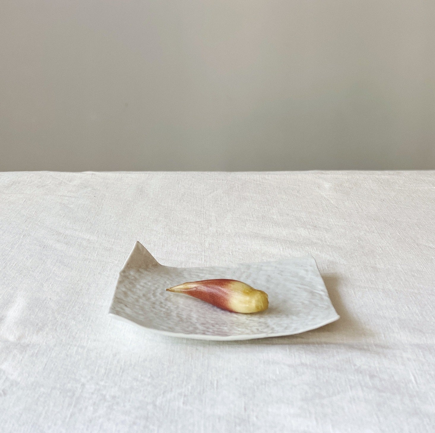 Paper Plate Medium (종이접시 M) by PARK Songkuk – Stroll